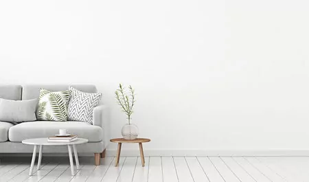 Interior Emulsion & Exterior Weather Coat Paints| WHITE by JAT